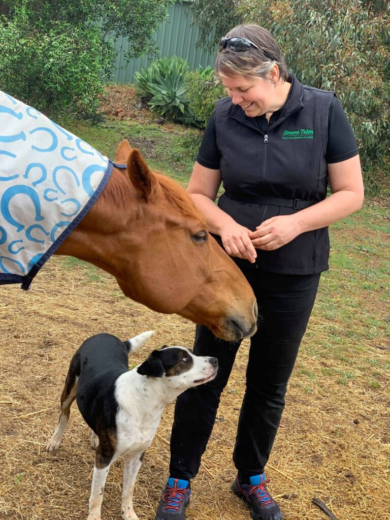 Puppy Training Perth | Puppy Preschool & Socialisation Classes